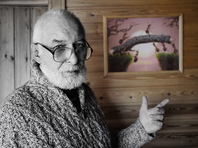 The miniature world of red forest ants - in pictures