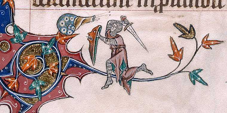 Knight v snail - in pictures