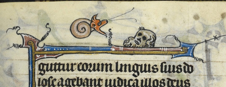Knight v snail - in pictures
