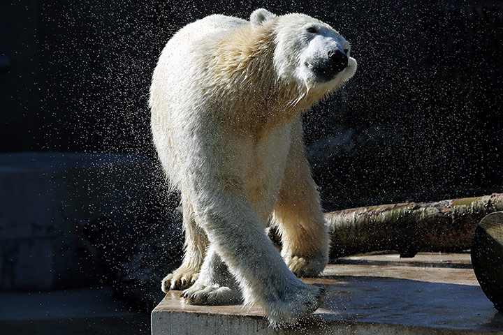 A lighter look - in pictures