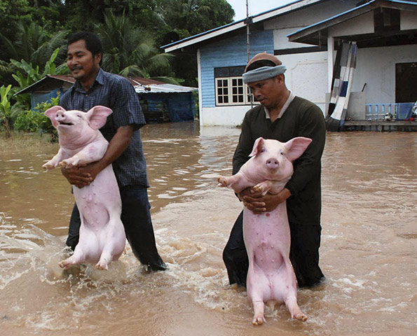 A lighter look - in pictures