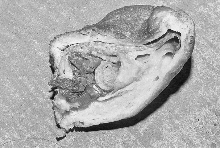 Mark Cohen's waist-height view of the world – in…