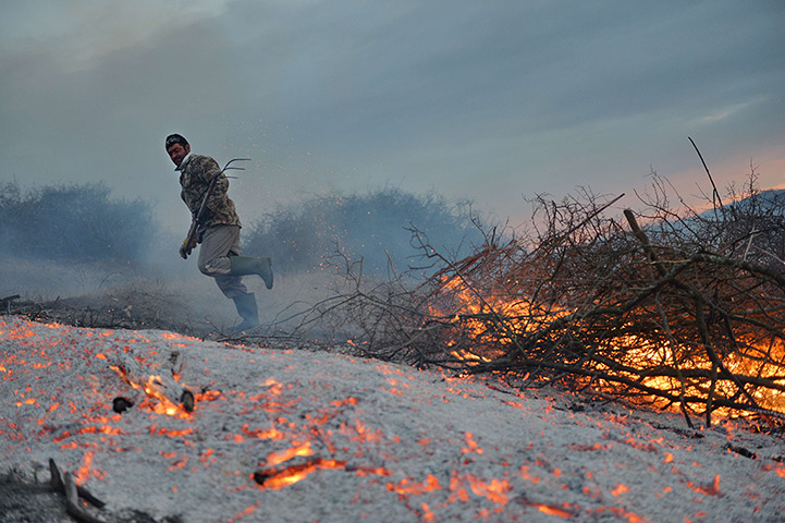 The weekend in pictures