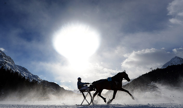 St Moritz White Turf Races - in pictures