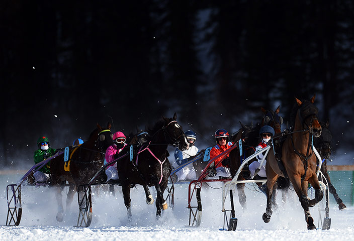 St Moritz White Turf Races - in pictures