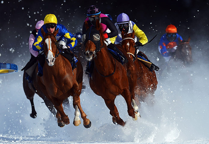St Moritz White Turf Races - in pictures