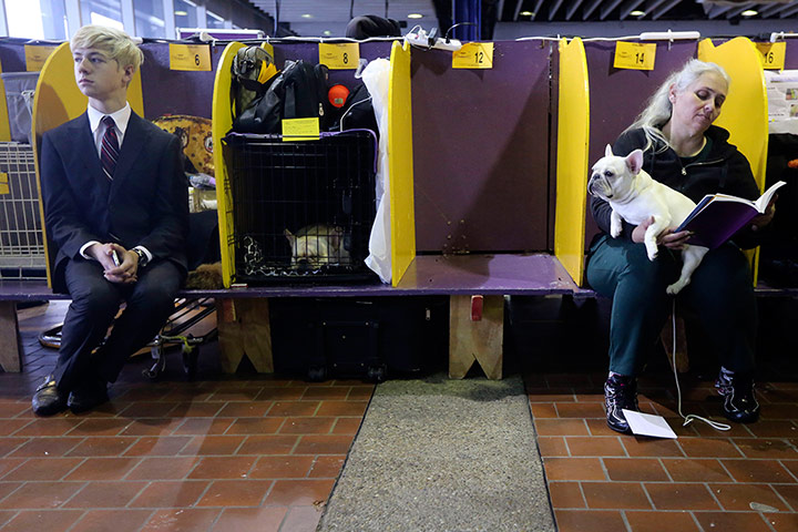 Westminster Kennel Club dog show: the best of day one…