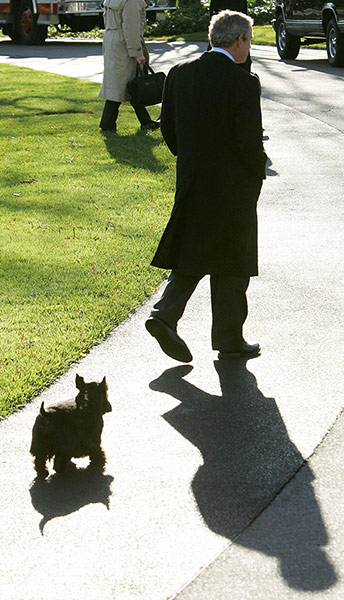 All the presidents' dogs - in pictures