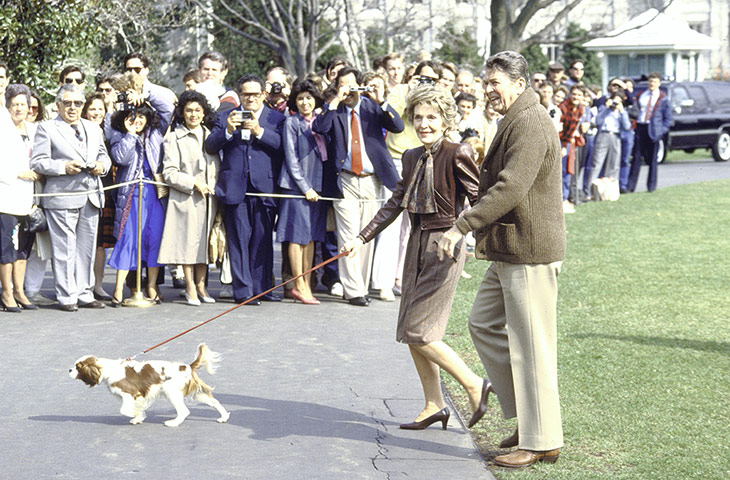 All the presidents' dogs - in pictures