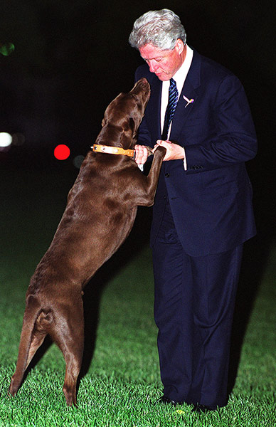 All the presidents' dogs - in pictures
