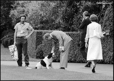 All the presidents' dogs - in pictures
