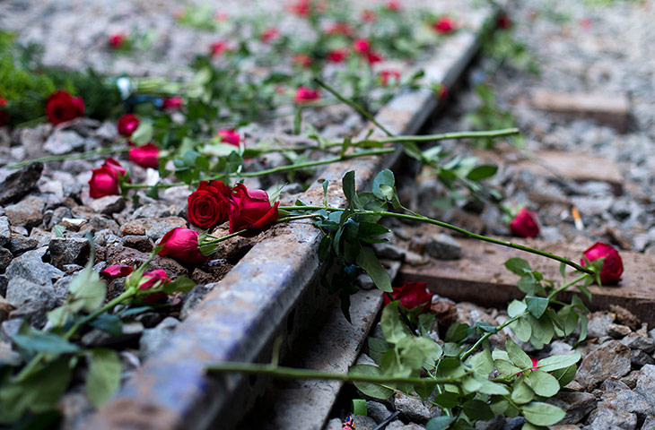 24 hours in pictures