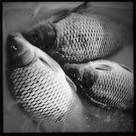 Baghdad, 10 years after the Iraq invasion – in pictures