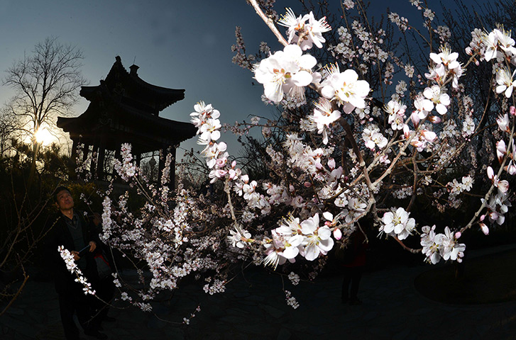 24 hours in pictures