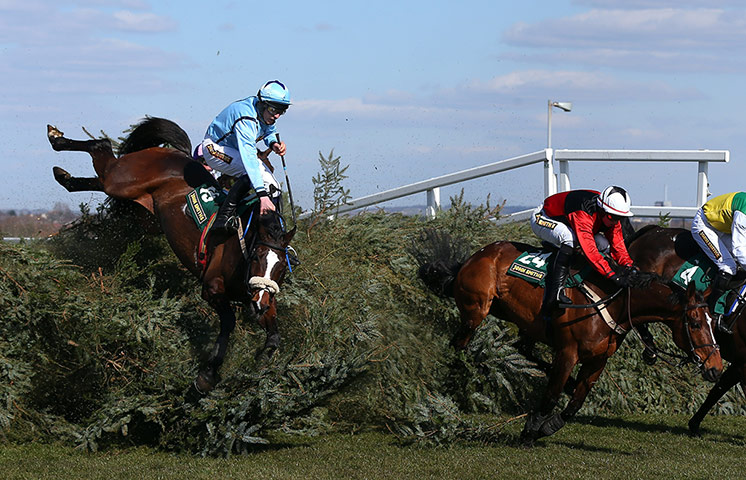 Grand National meeting: the dangers of Aintree – in…