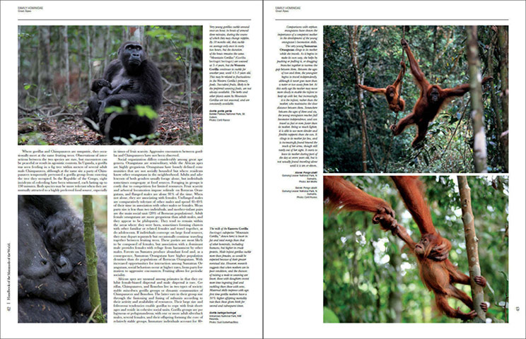 World’s most comprehensive guide to primates - in…