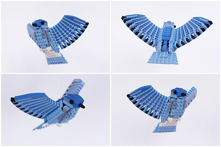 North American birds made from Lego – in pictures