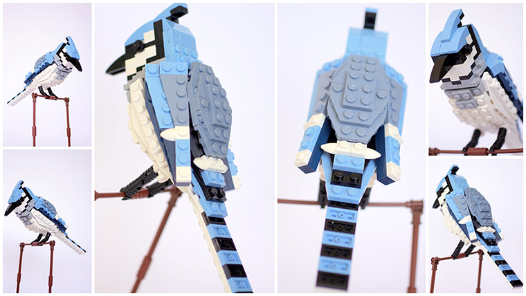 North American birds made from Lego – in pictures