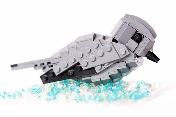 North American birds made from Lego – in pictures