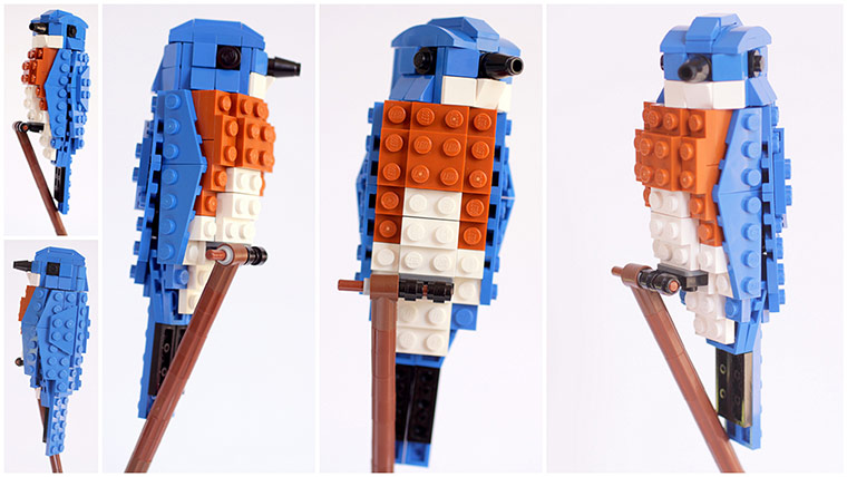 North American birds made from Lego – in pictures