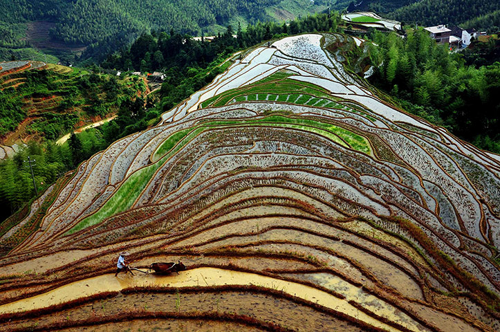 The Observer's 20 photographs of the week