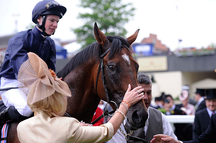 Tom Jenkins's Ascot - in pictures