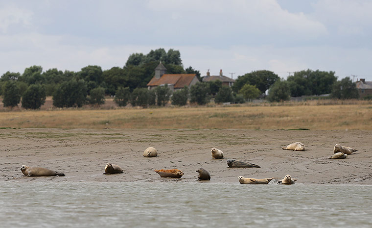 The week in wildlife – in pictures