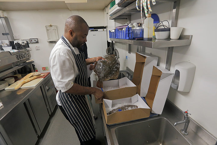 From sea to plate – in pictures