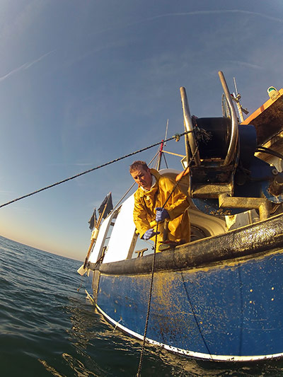 From sea to plate – in pictures