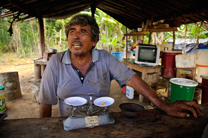 Charlie Hamilton James: The rainforest and me - in…