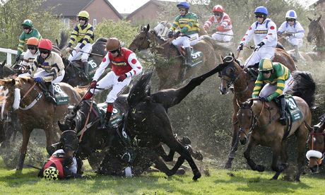 Care About Horses? Then You Should Ban Grand National! | Ann Novek ...