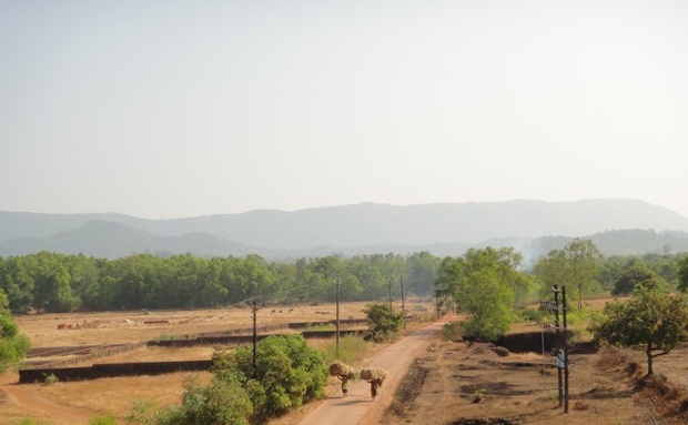 Everyday India in pictures: the country