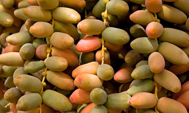 Agriculture and daily life around the world - in…