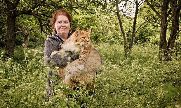 Sally Wainwright - Alchetron, The Free Social Encyclopedia