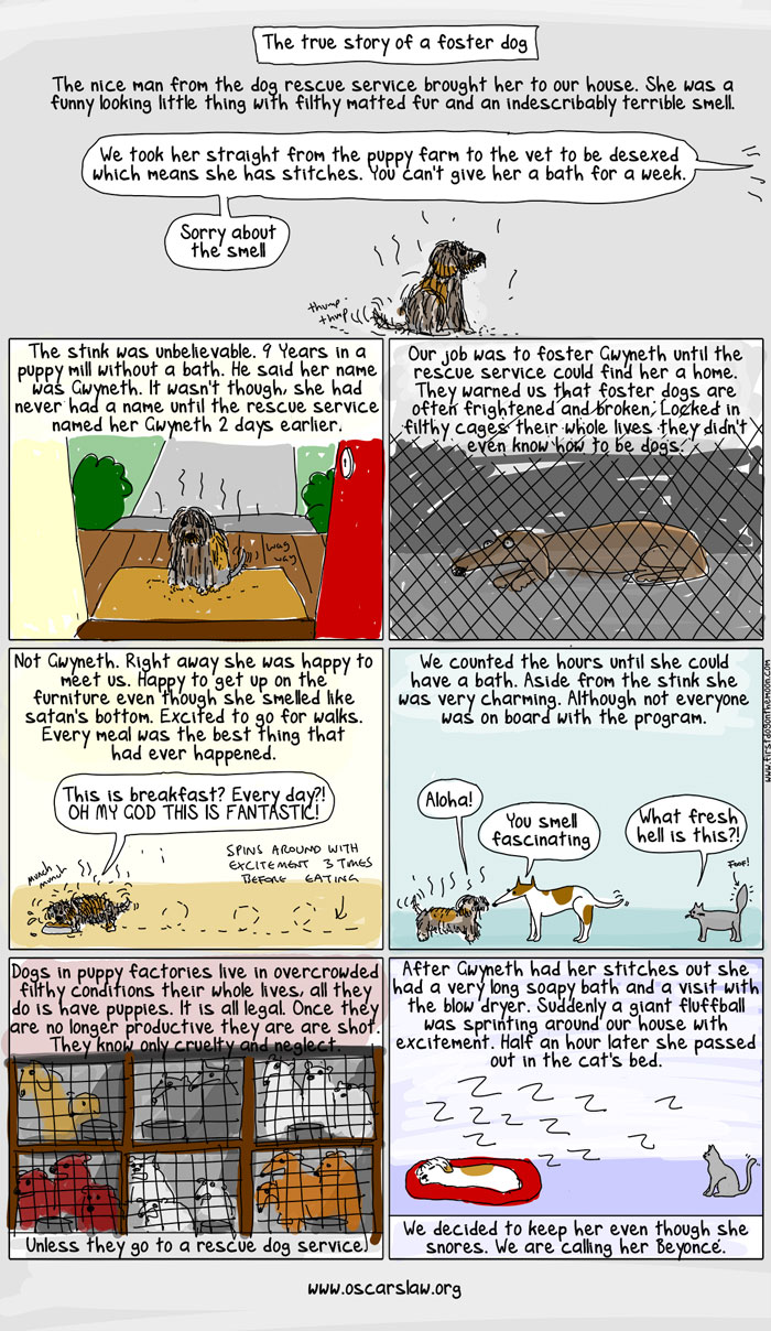 What Was The Very First Dog