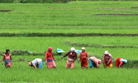 Nepal: Farming the future