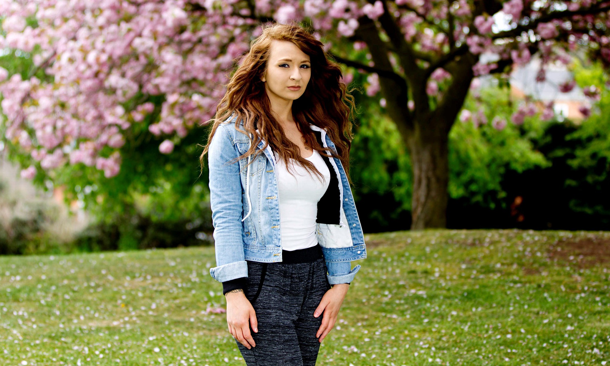 Bravo, Poppy Smart | Chatalie the Natabox