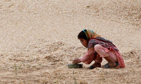 Voluntary vs mandatory food fortification