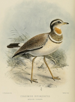 Good egg: rare specimen discovered after 100 years in…