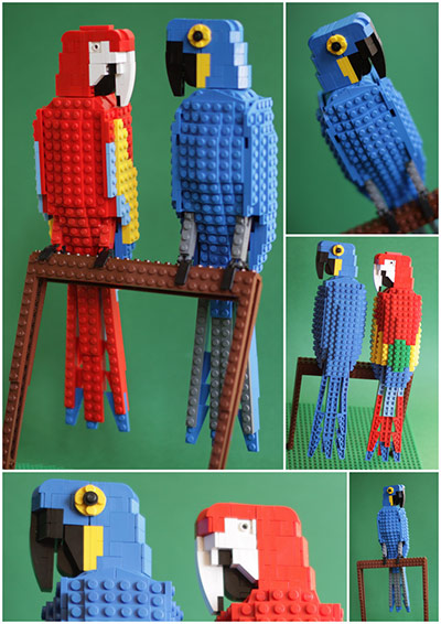 Lego birds: the tropical collection - in pictures