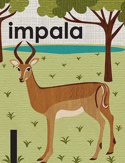 The best alphabet flashcards and books – in pictures | OurDailyRead