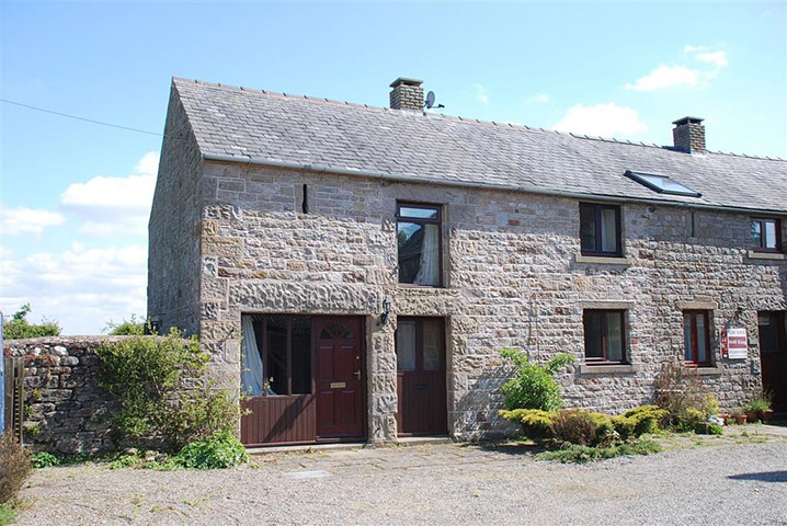 Snooping around – in pictures