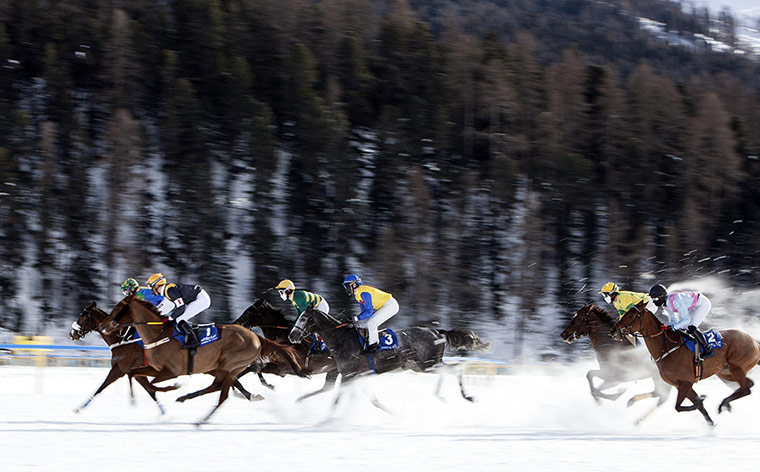 St Moritz White Turf Races - in pictures