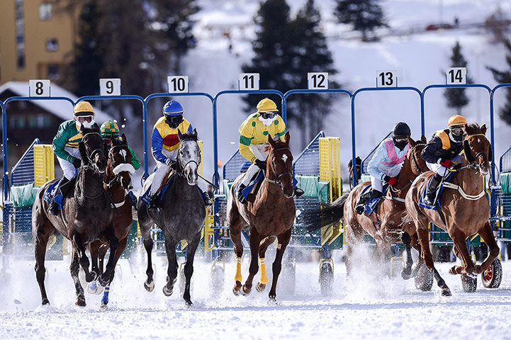 St Moritz White Turf Races - in pictures