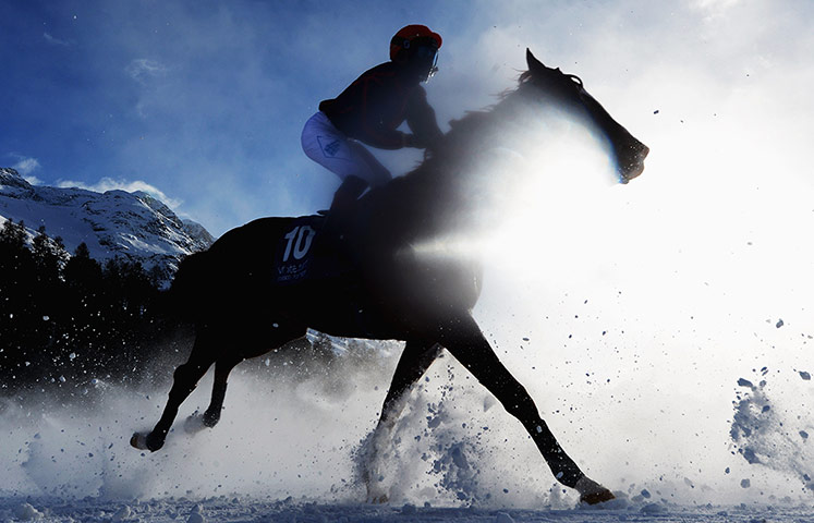 St Moritz White Turf Races - in pictures